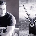 Salman Khan Blackbuck Case Verdict - 1998 Black Buck Poaching Case ...