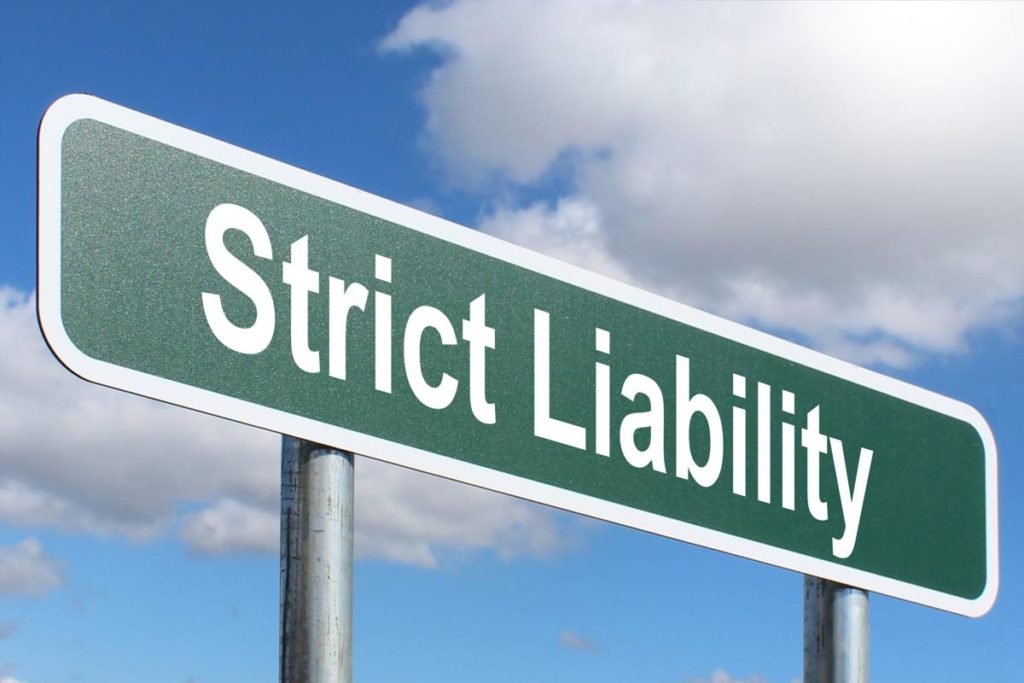 Is the Principle of Strict Liability Relevant today? - LawLex.Org
